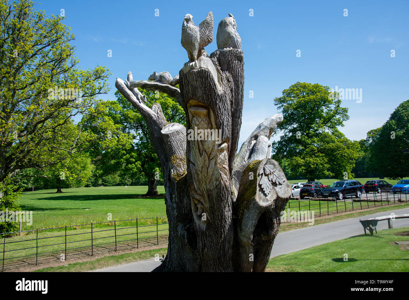 Photographs from around Rozelle park in Ayrshire Stock Photo - Alamy