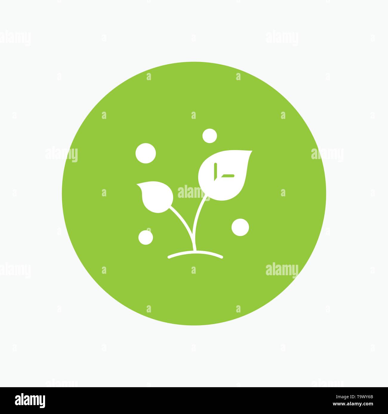 Sprout tree Stock Vector Images - Alamy