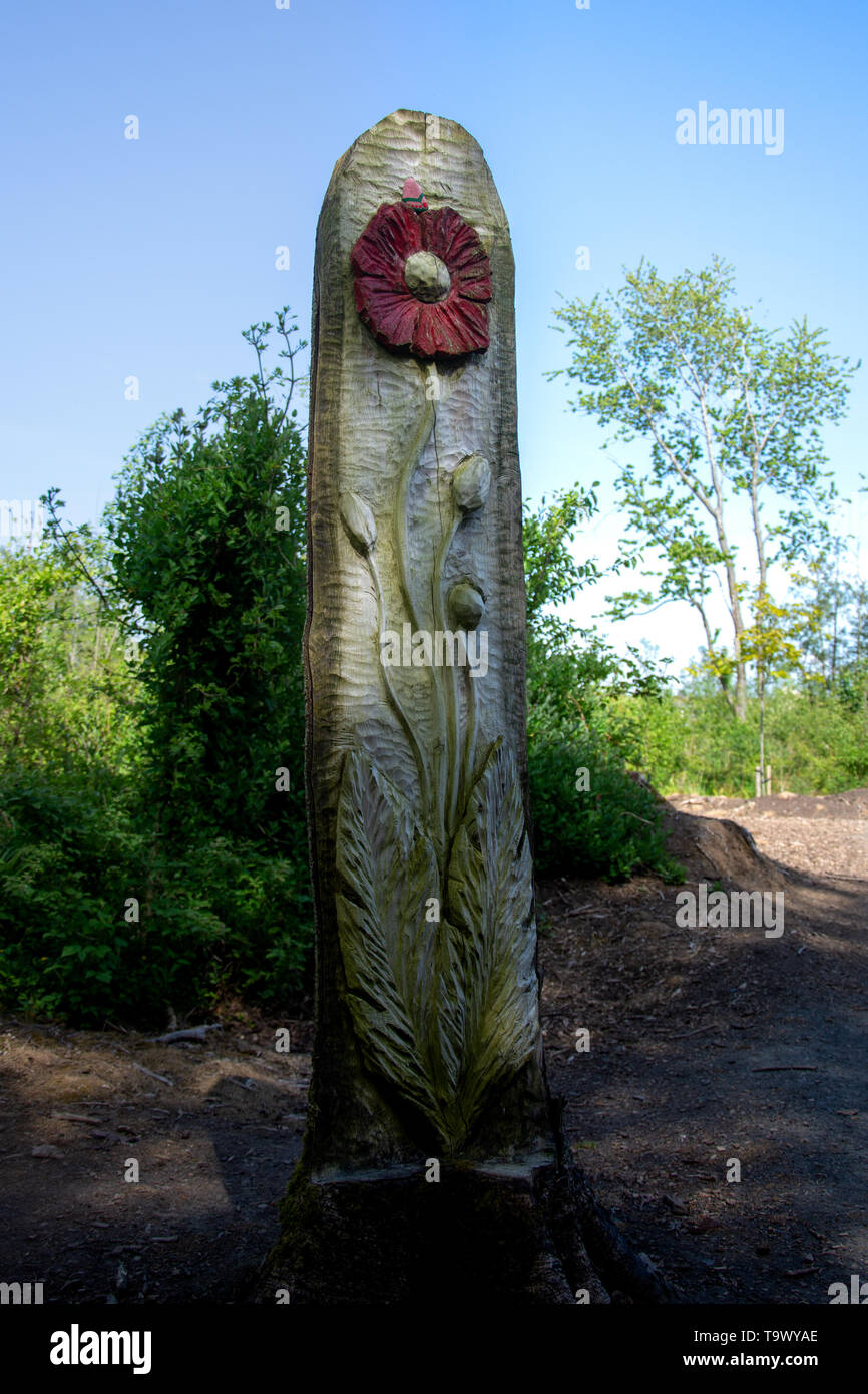 Photographs from around Rozelle park in Ayrshire Stock Photo - Alamy
