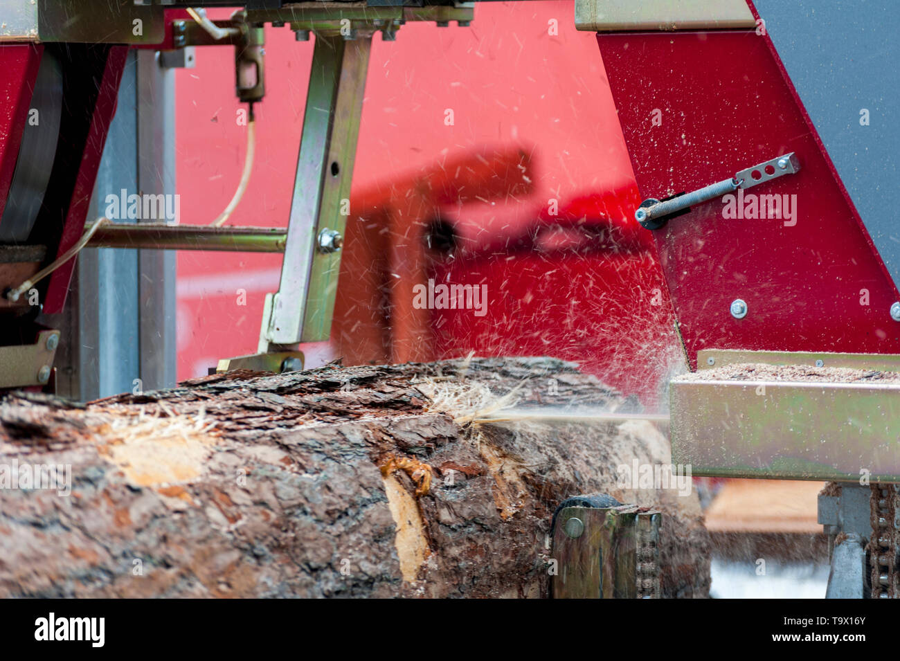 Log sawing process hi-res stock photography and images - Alamy