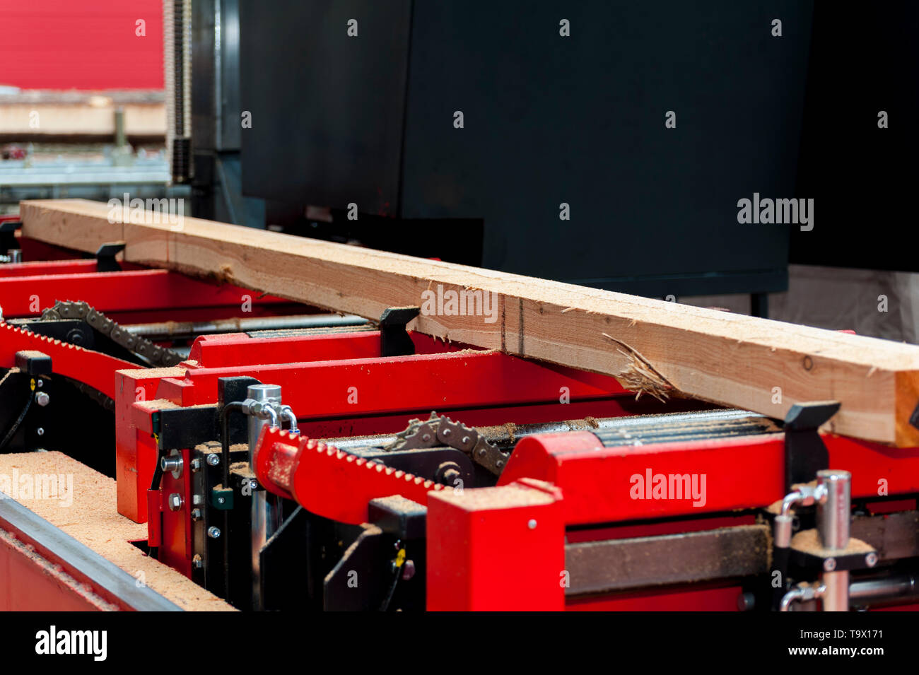 Sawmill.Wood sawdust work sawing timber wood wooden woodworking Stock ...