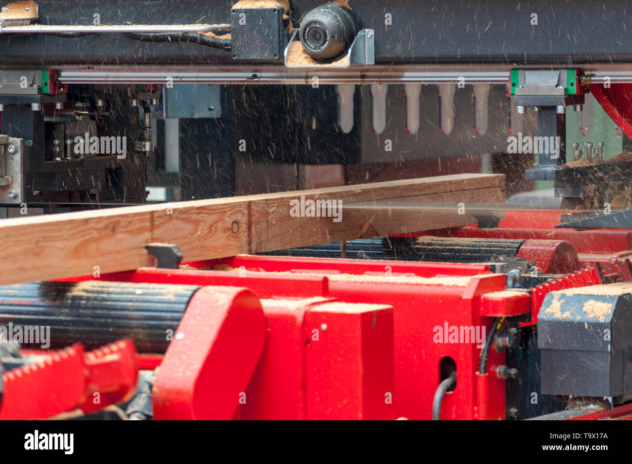 Sawmill.Wood sawdust work sawing timber wood wooden woodworking Stock ...