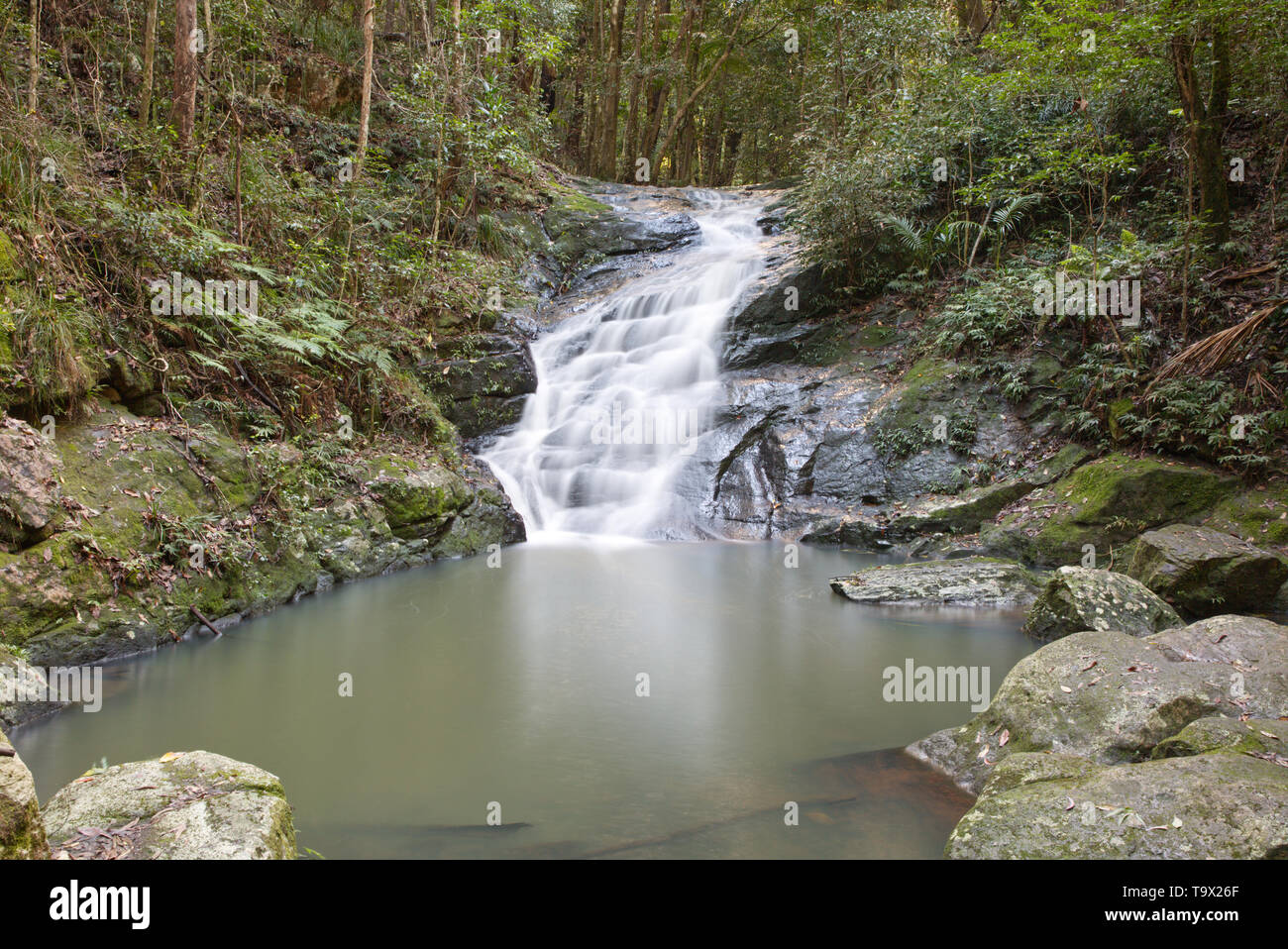 Waterfall into forest pool Stock Photo - Alamy