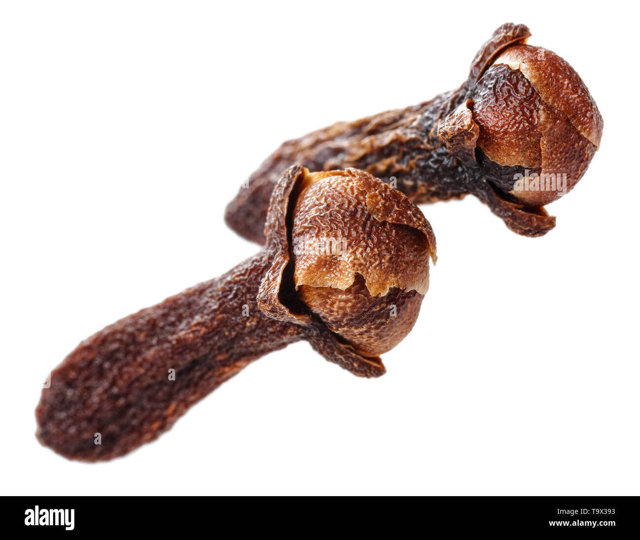 Dry clove buds isolated on white background Stock Photo - Alamy