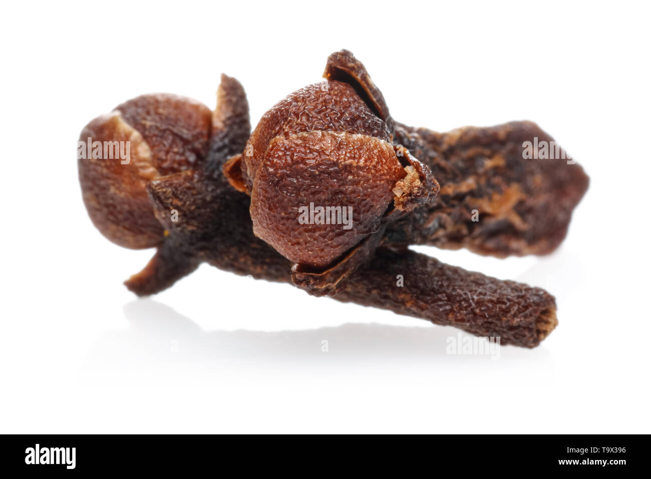 Dry clove buds isolated on white background Stock Photo - Alamy
