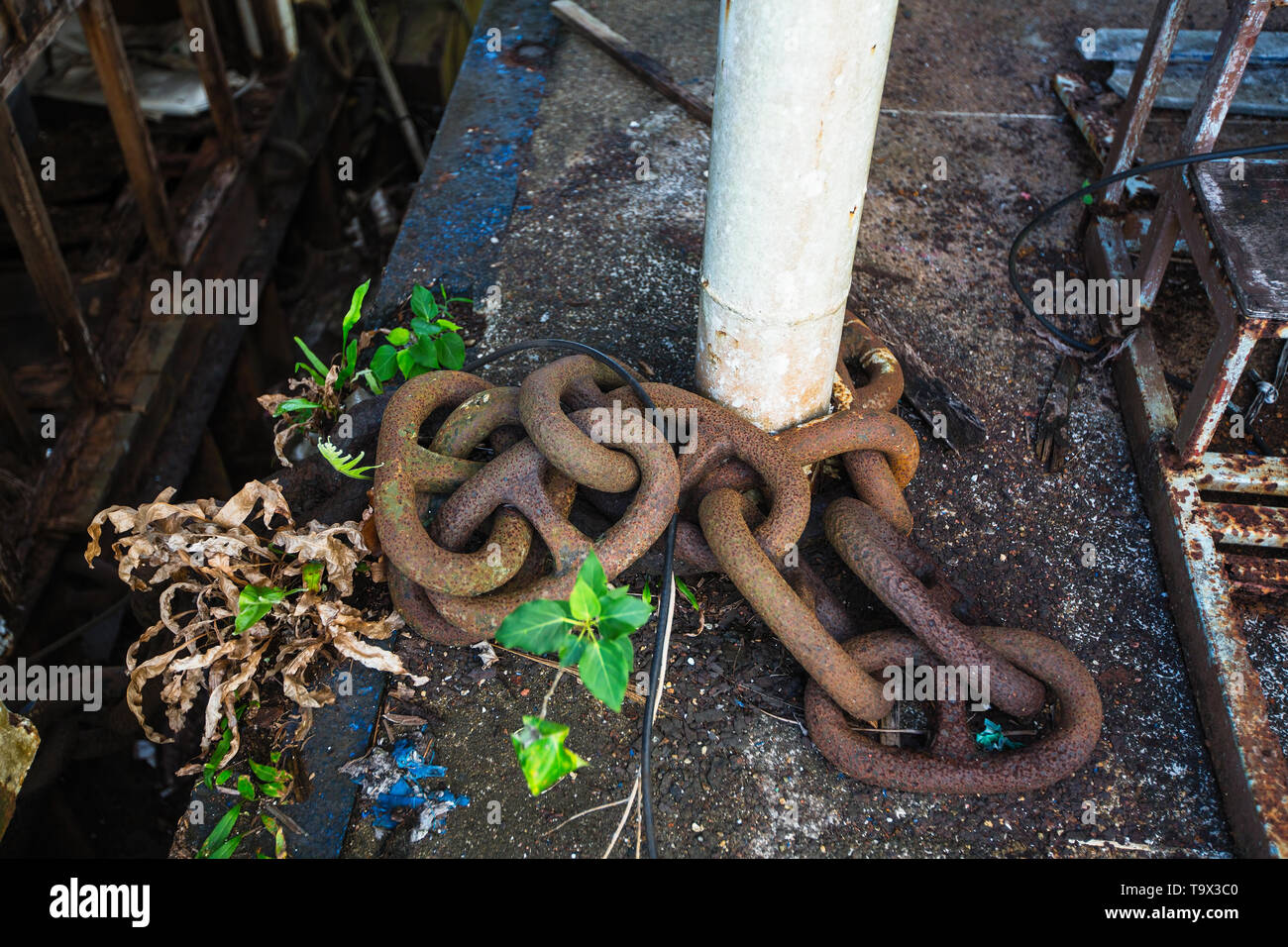 Chain on an abandoned building stylized as a huge ship in the jungle of ...