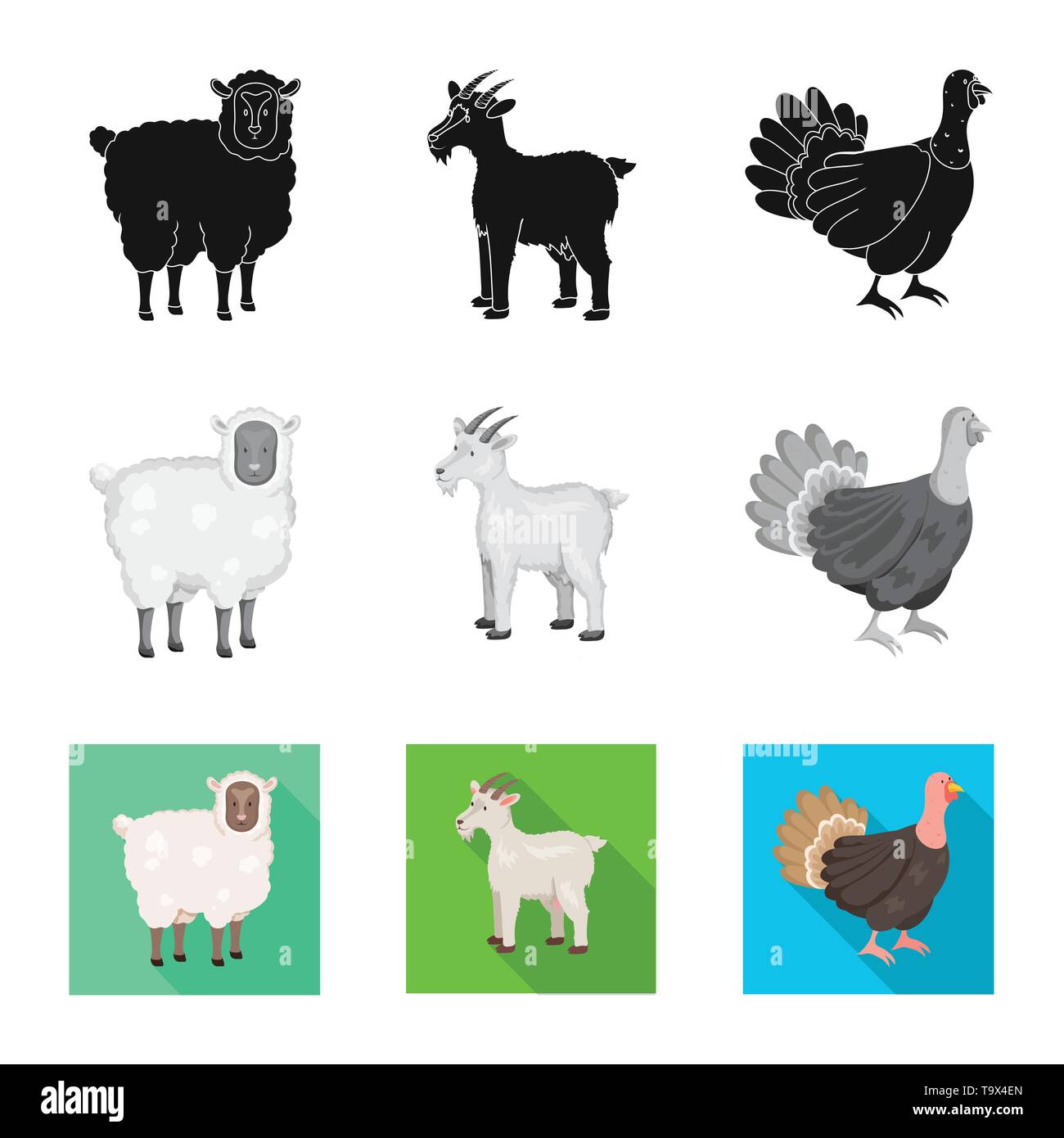 Mutton bird Cut Out Stock Images & Pictures - Alamy