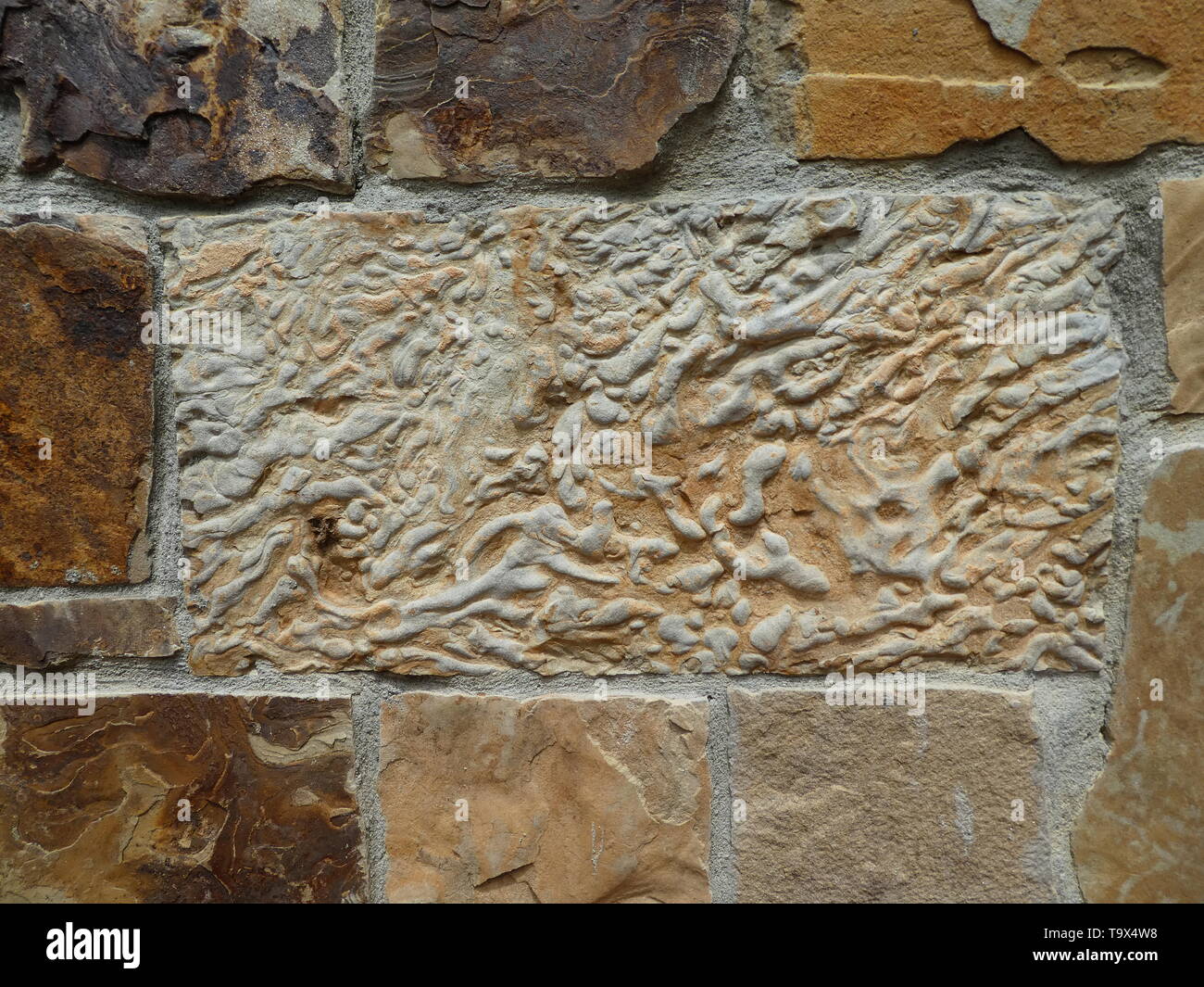 Closeup image of a natural paving stone embedded in a retaining wall ...