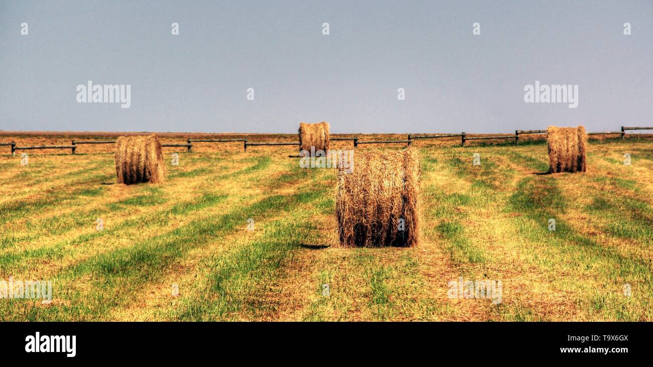 Various colors in a French landscape in summertime Stock Photo - Alamy