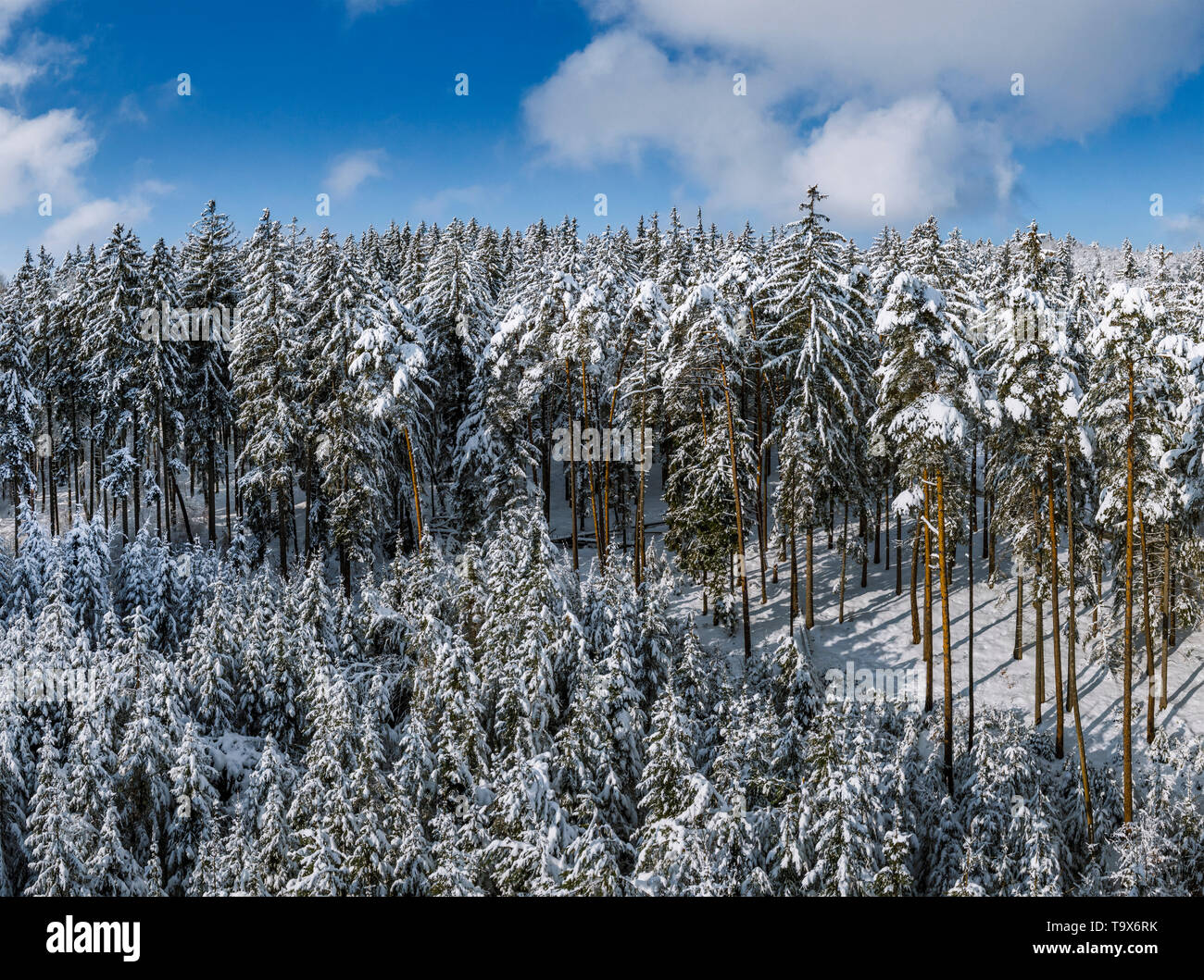 See mit tannen hi-res stock photography and images - Alamy