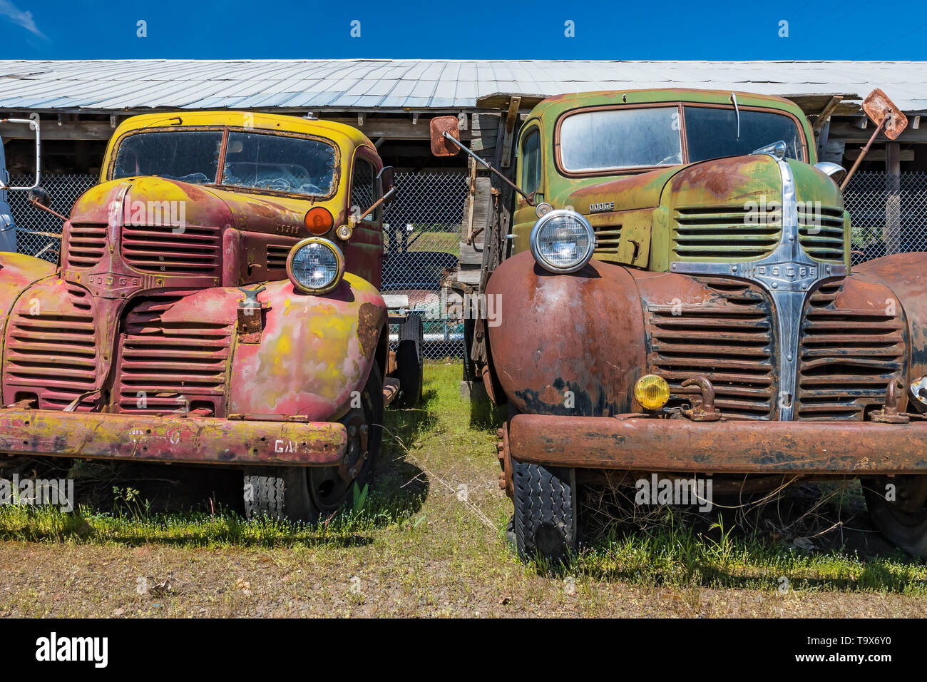 Rusty old trucks hi-res stock photography and images - Alamy