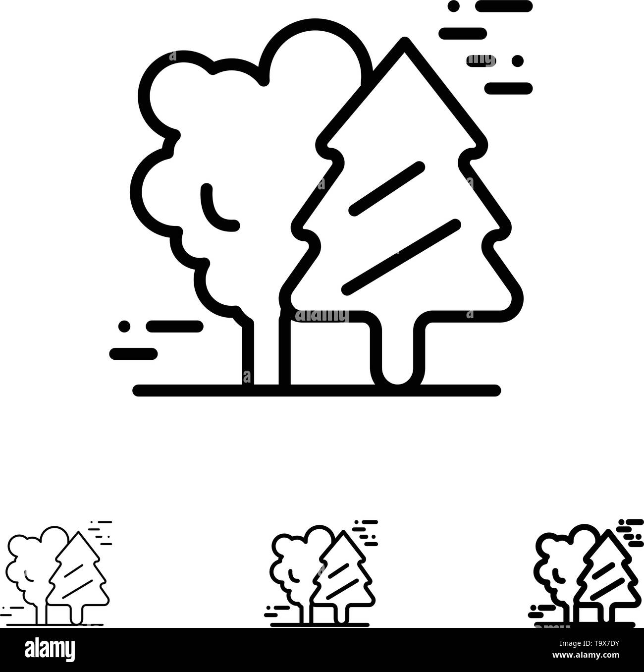 Black Spruce Trees Canada Stock Vector Images - Alamy