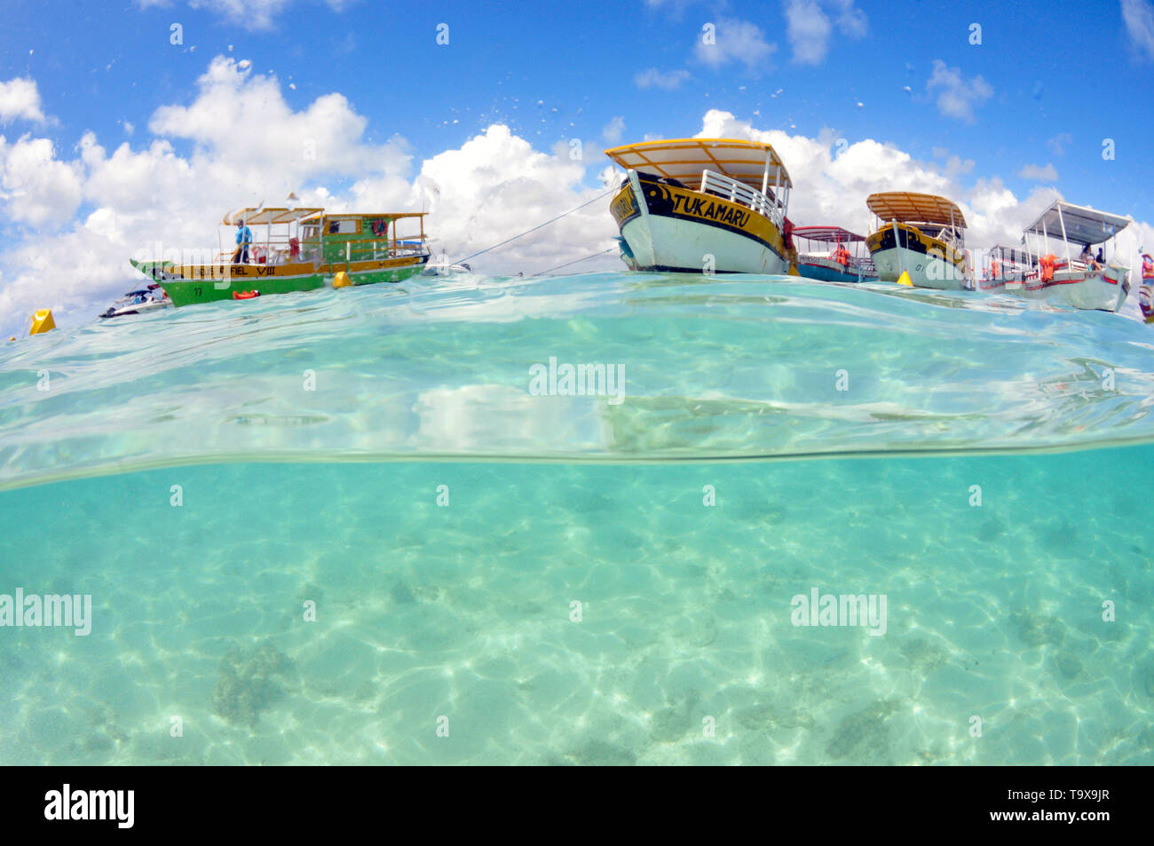 Maragogi natural pools hi-res stock photography and images - Alamy