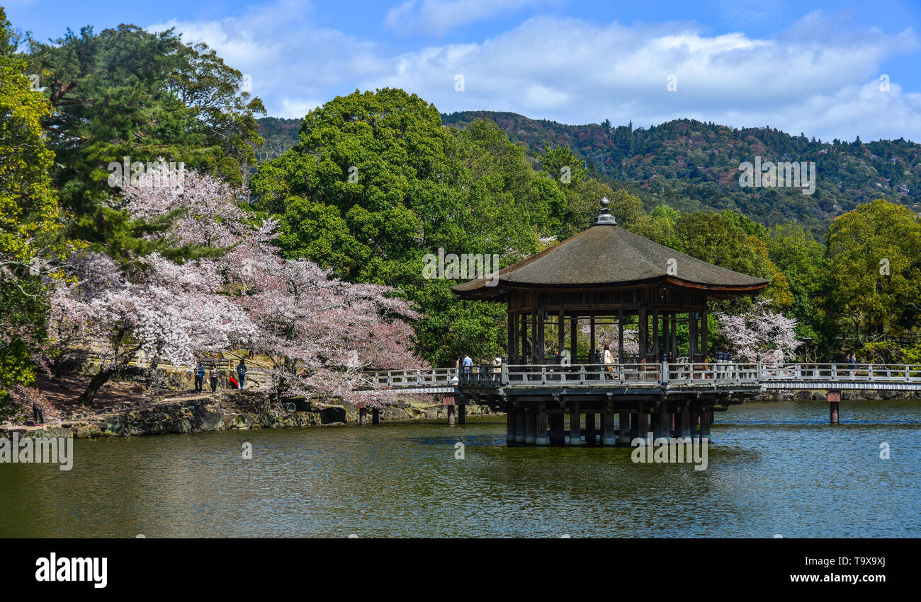 Sagi ike pond hi-res stock photography and images - Alamy