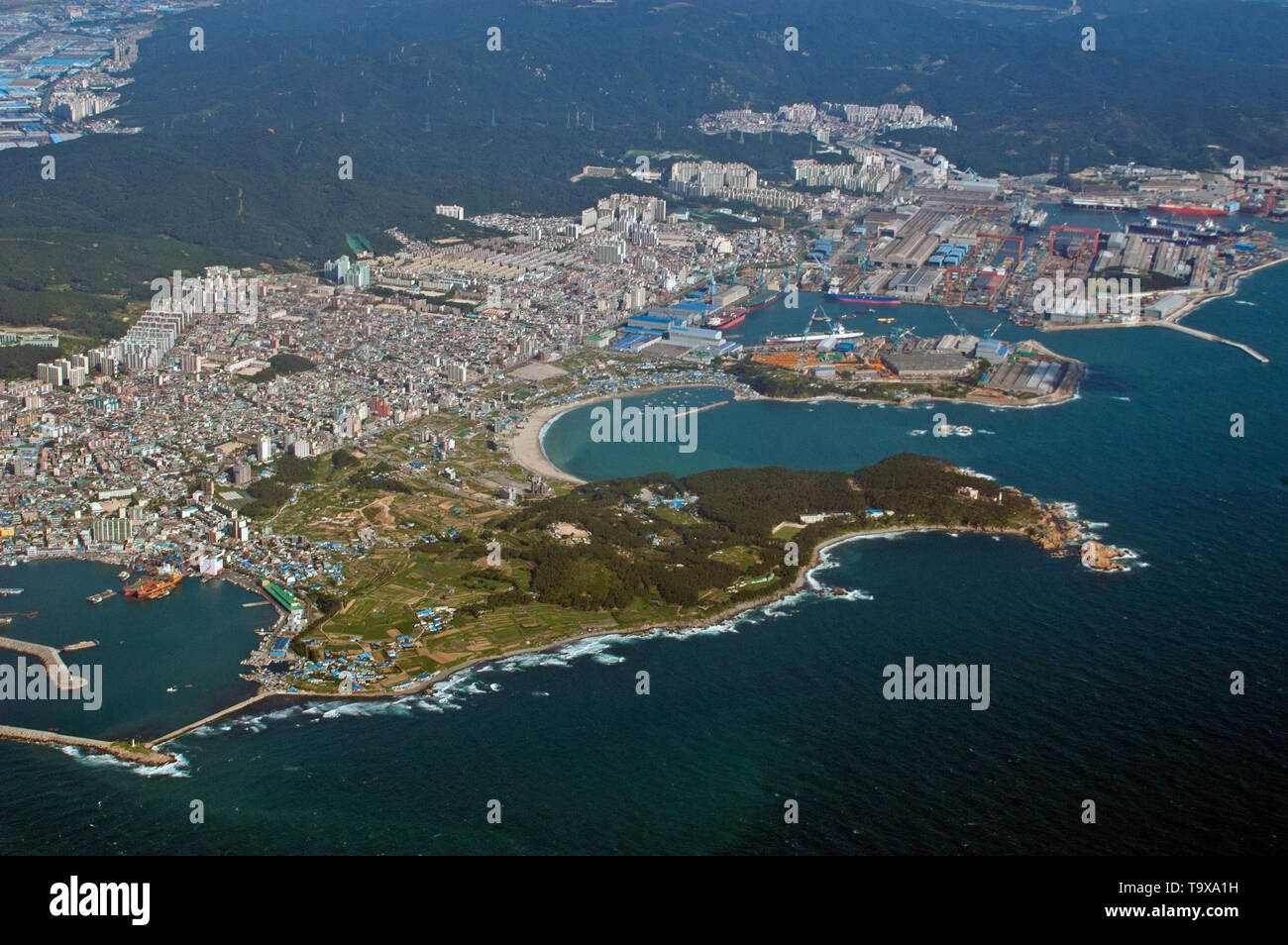 Ulsan Korea The Global Ripple Effects Of South Korea's Political