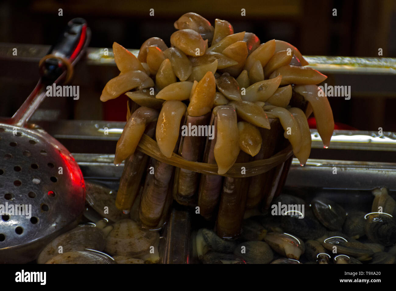 Razor clams china hi-res stock photography and images - Alamy
