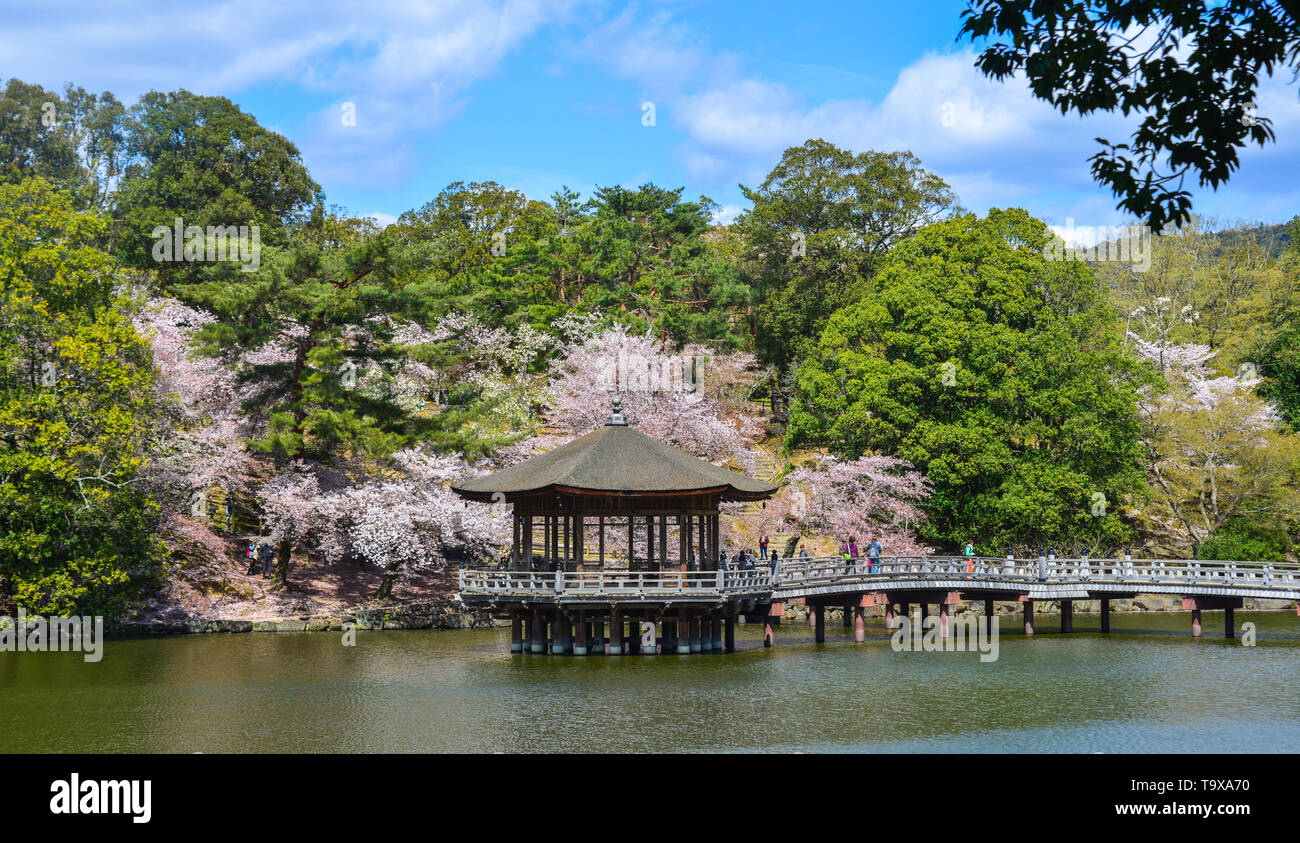 Nara, Japan - Apr 11, 2019. Sagi-ike Pond with the Ukimido Gazebo ...