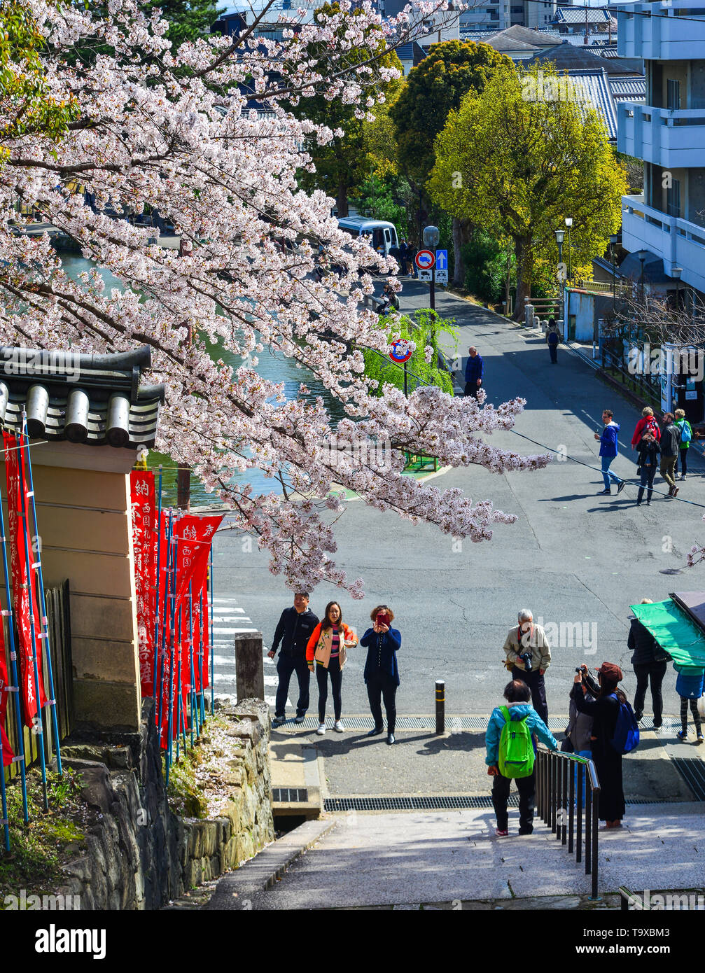 Nara, Japan - Apr 11, 2019. Tourists walking on street at cherry ...