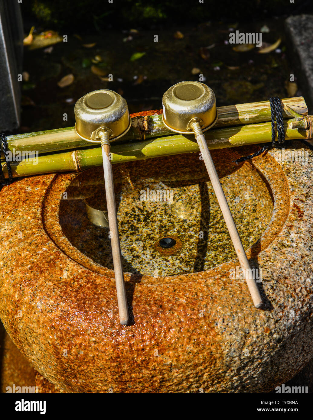 Japanese ladles at Shinto temple in Kyoto, Japan. In Japan, a tsukubai ...