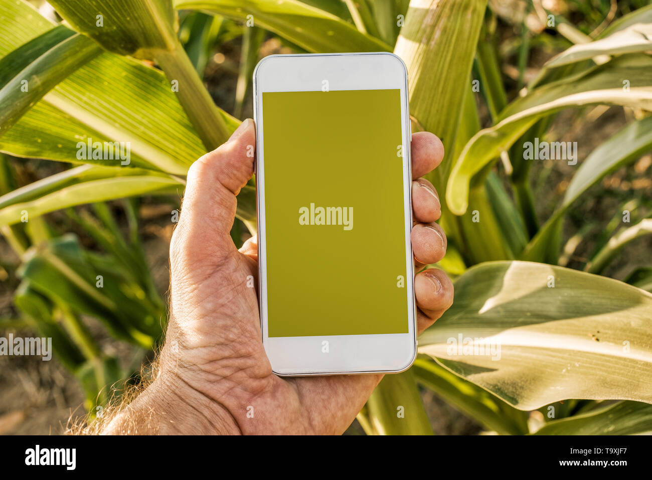 Agritech hi-res stock photography and images - Alamy