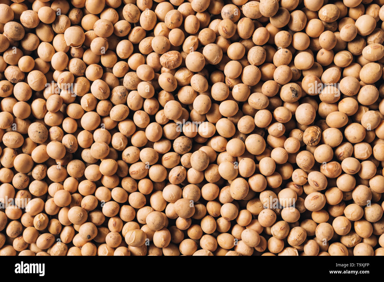 Soybean seeds hi-res stock photography and images - Alamy