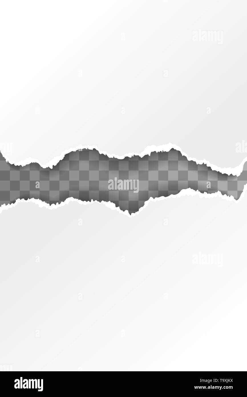 Vertical white torn paper pieces on transparent background Stock Vector ...