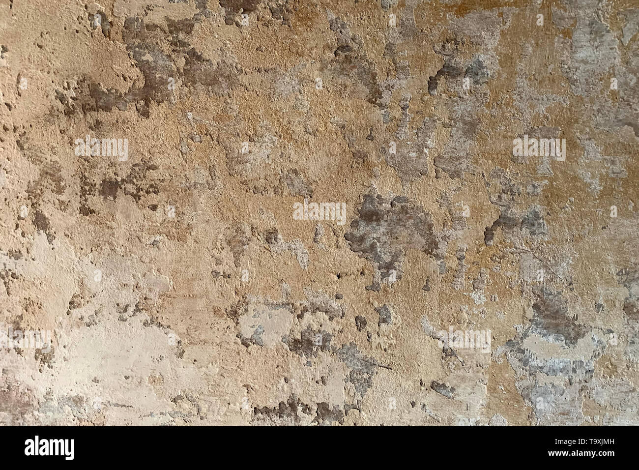 Texture modern pattern gold wall with weathered paint Stock Photo - Alamy