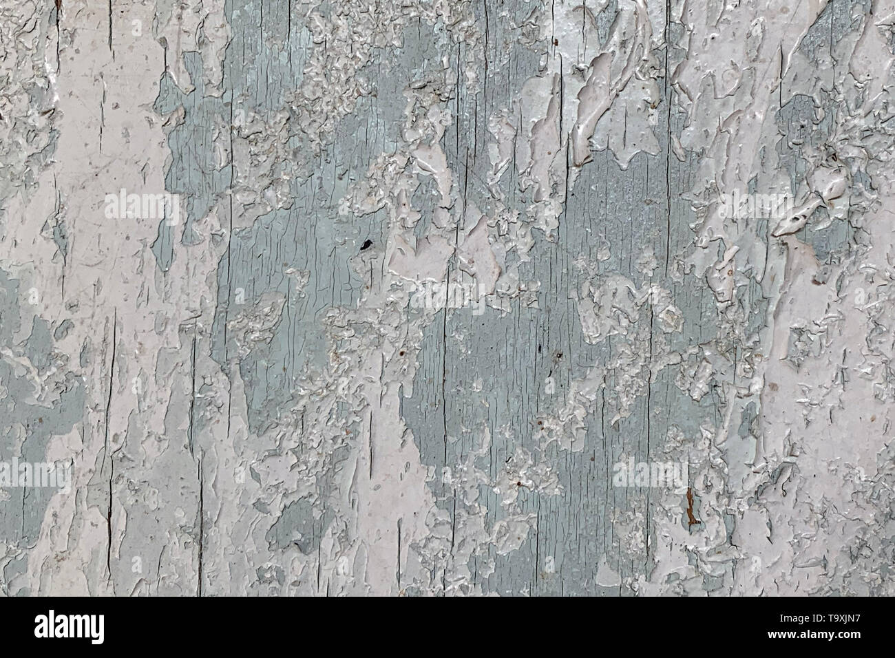 Light Grey Paint Texture