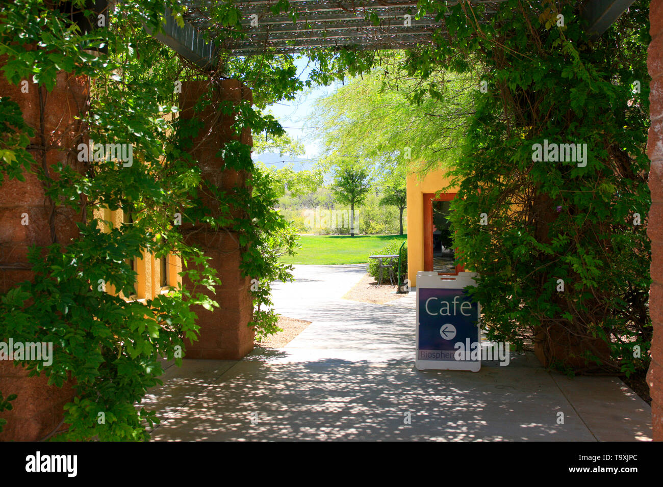 Visitor Cafe center at Bisosphere 2, the American Earth system science ...