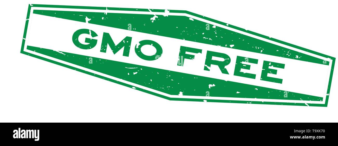 Grunge green GMO free word hexagon rubber seal stamp on white background Stock Vector Image ...