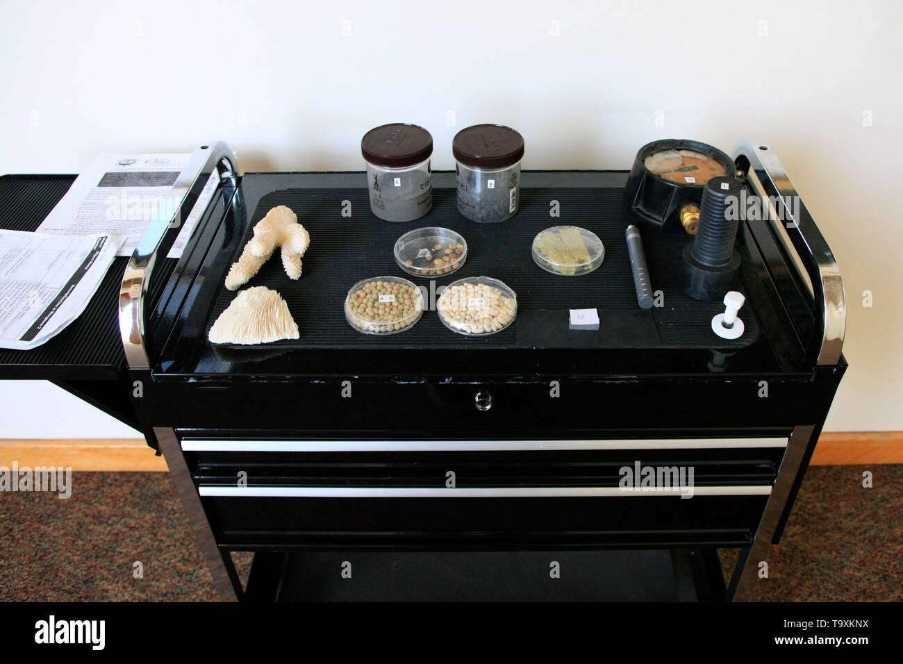 Conservation experiment hi-res stock photography and images - Alamy