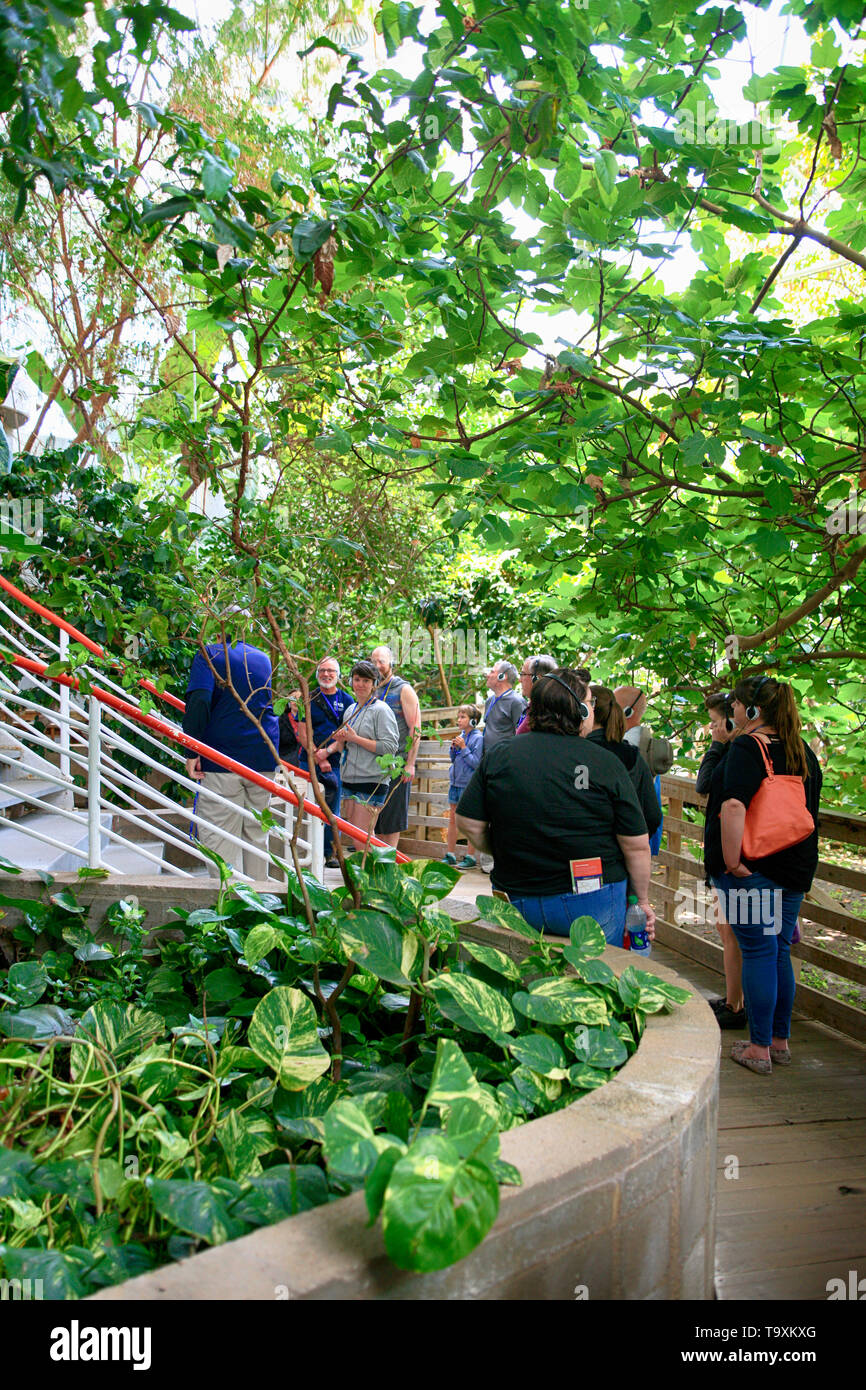 Biosphere 2 arizona rainforest hi-res stock photography and images - Alamy