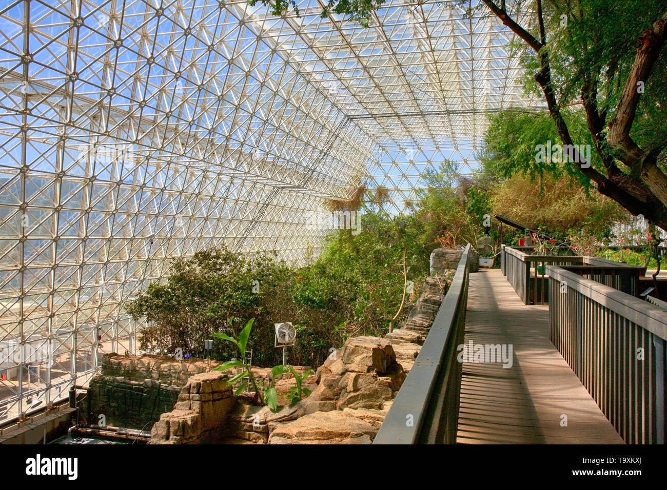 Inside the rainforest hi-res stock photography and images - Alamy