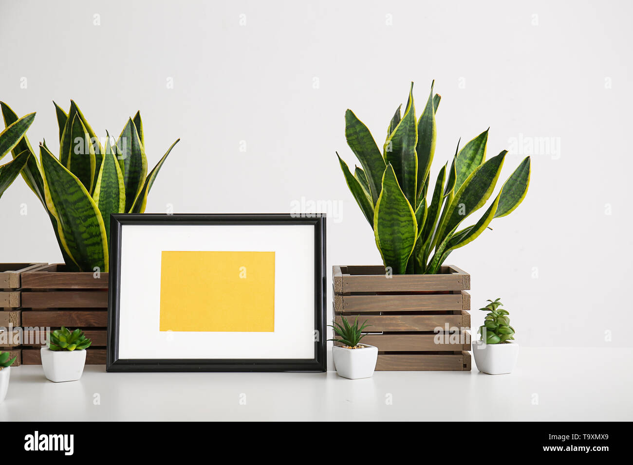 Different green plants with frame on white background Stock Photo - Alamy