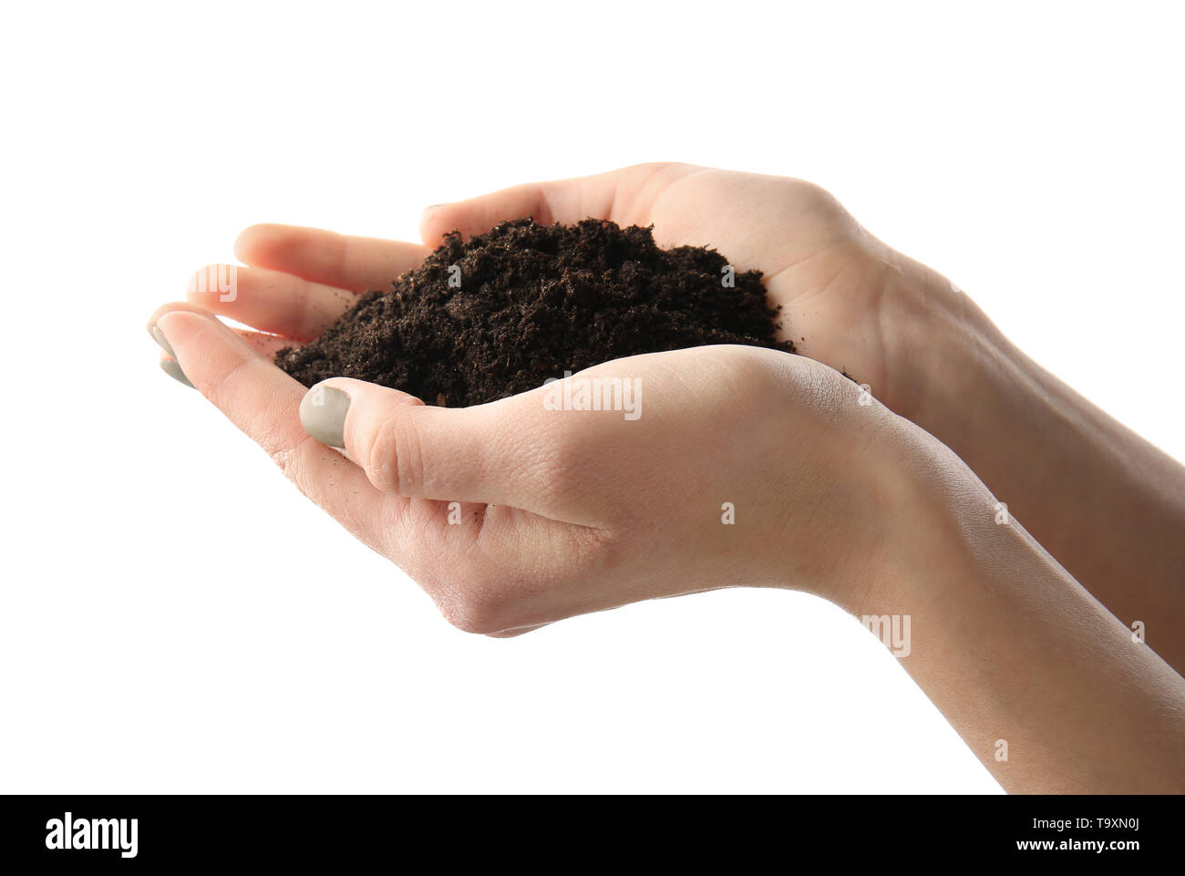 Female hands with soil on white background Stock Photo - Alamy