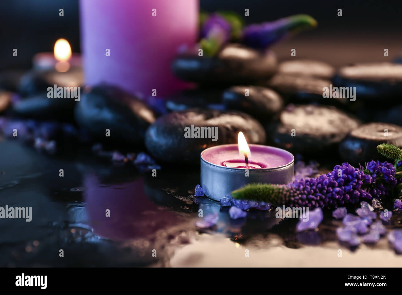 Burning candle, flower and spa stones on dark background Stock Photo ...