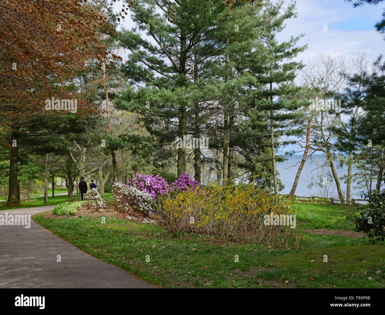 A shady path through a park on Toronto's waterfront trail route beside ...