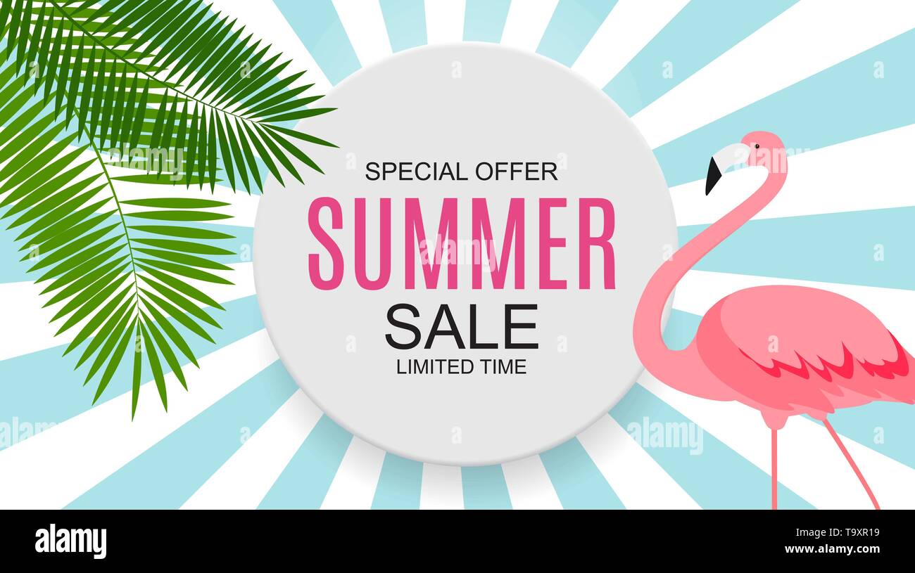 Summer Sale concept Background. Vector Illustration EPS10 Stock Vector ...