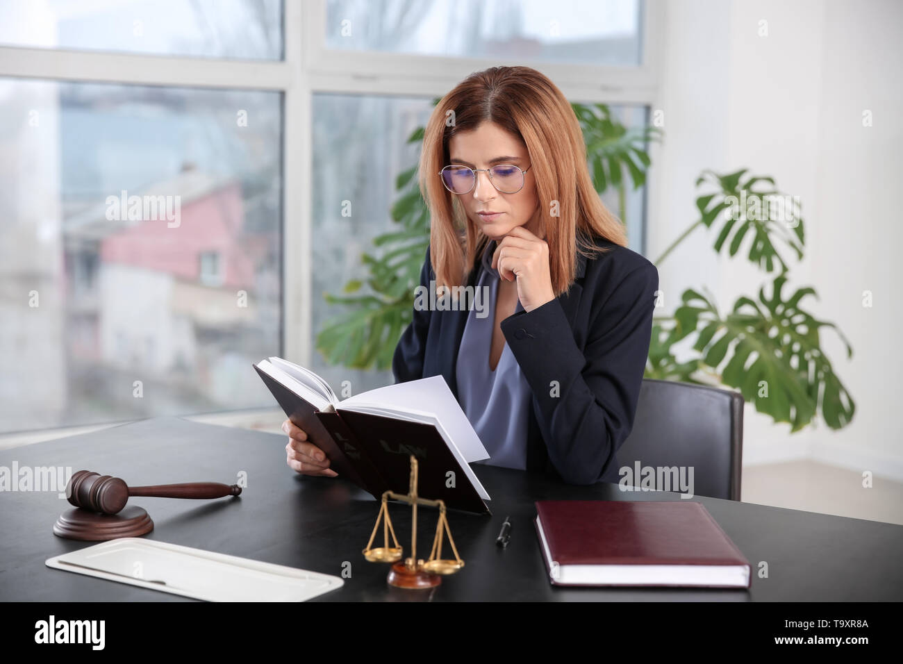 Female Lawyers At Work