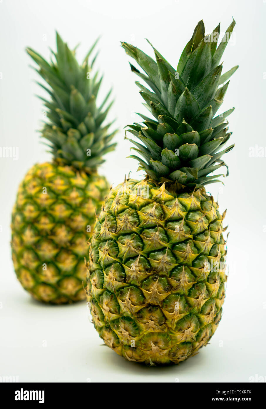 two standing pineapples on an isolated white background Stock Photo - Alamy