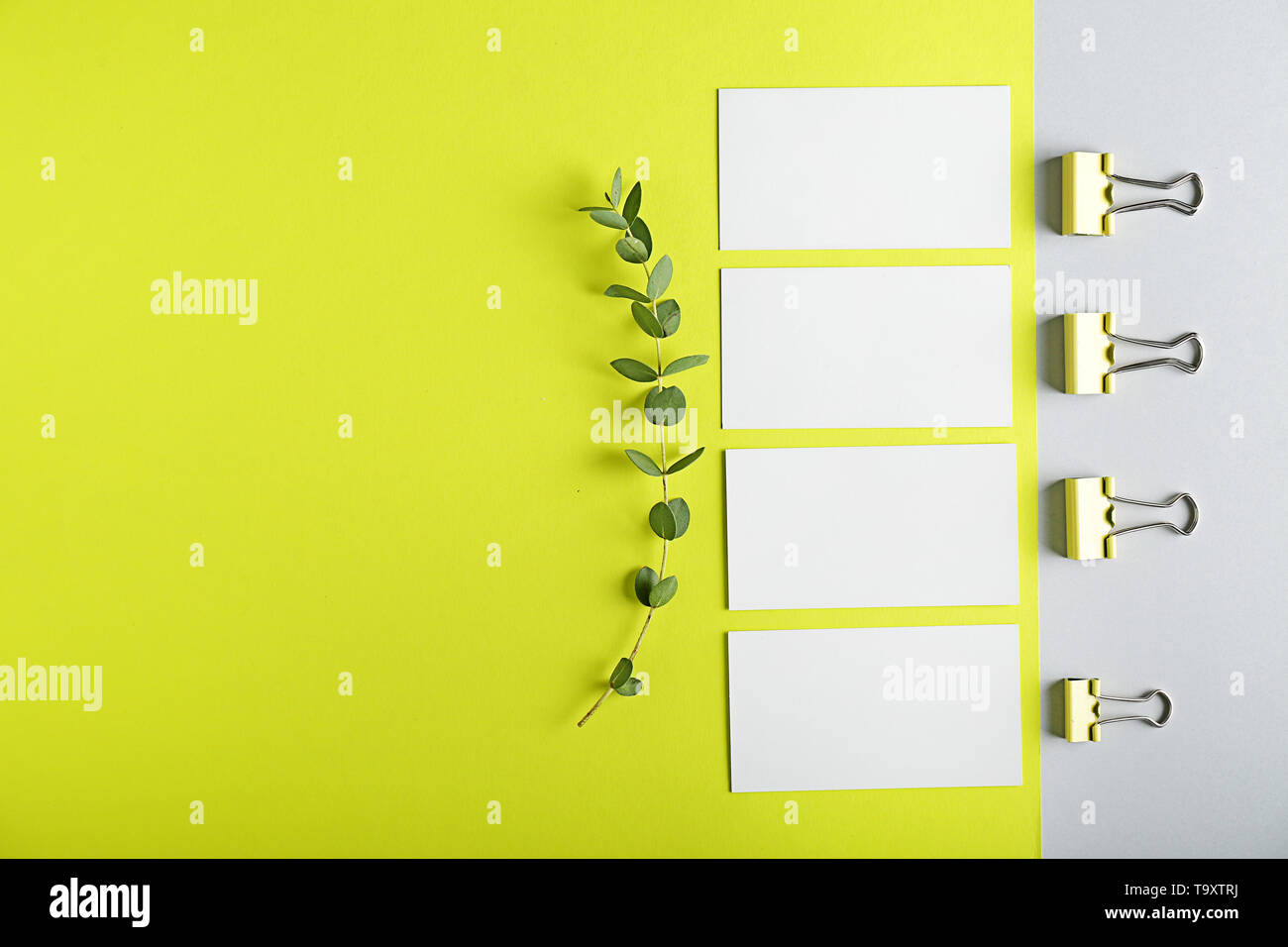 Blank business cards and binders on color background Stock Photo - Alamy