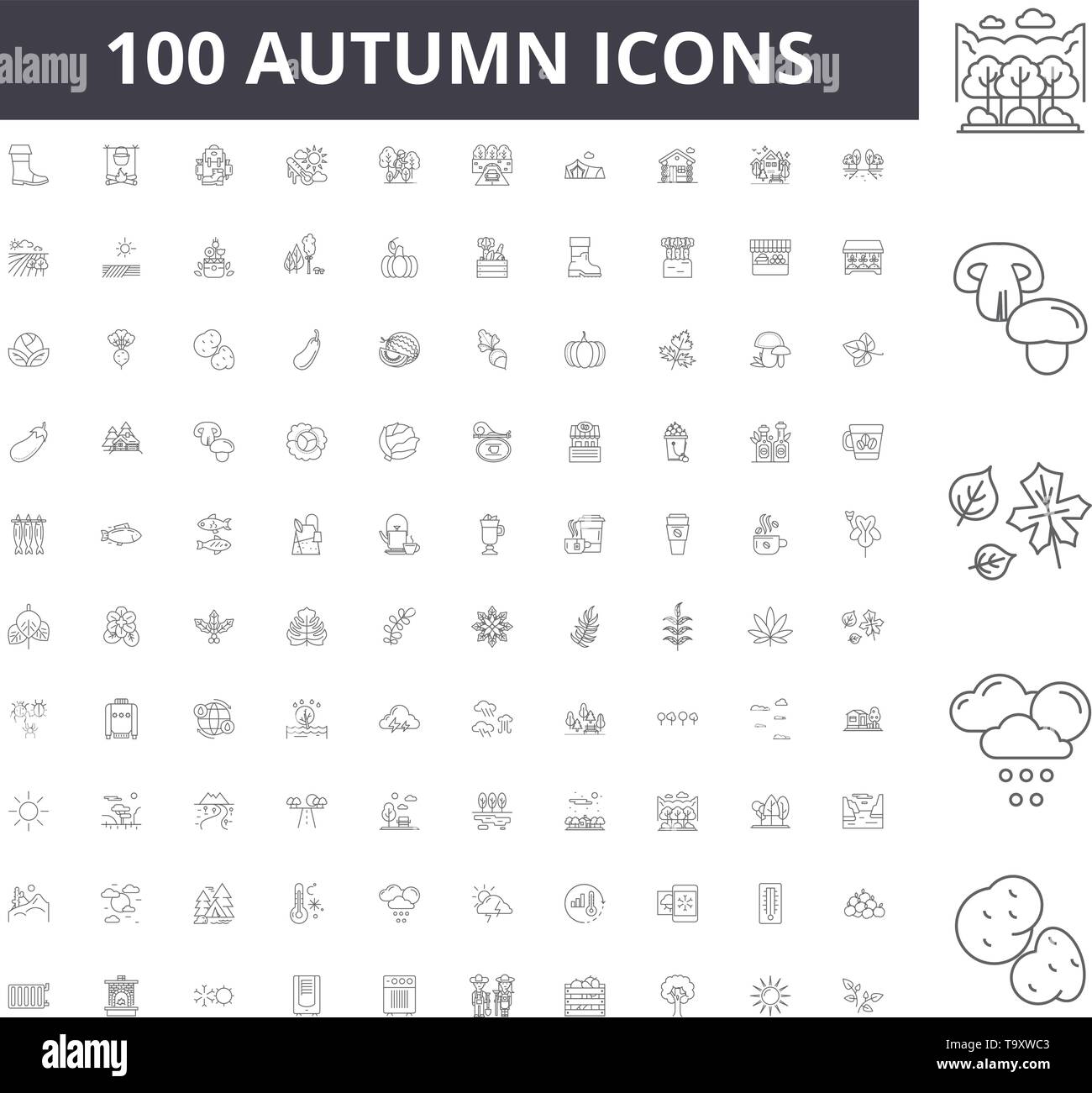Autumn line icons, signs, vector set, outline illustration concept ...