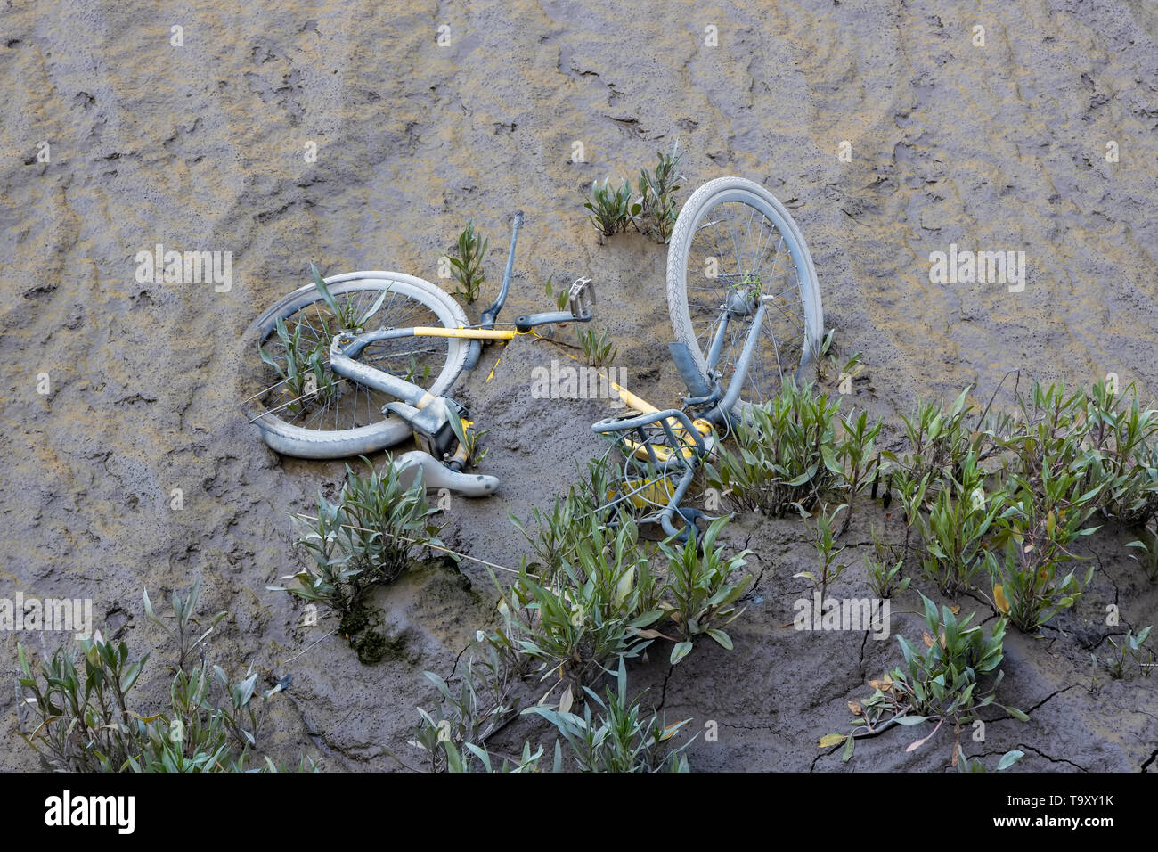 BRISTOL, UK - MAY 14 : Discarded bicycle dumped in the River Avon at ...
