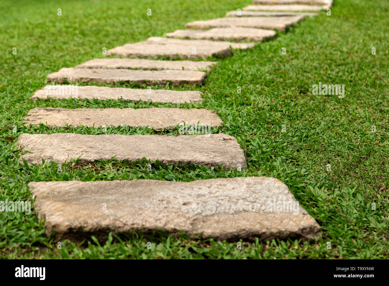 Stone pavement in green grass Stock Photo - Alamy