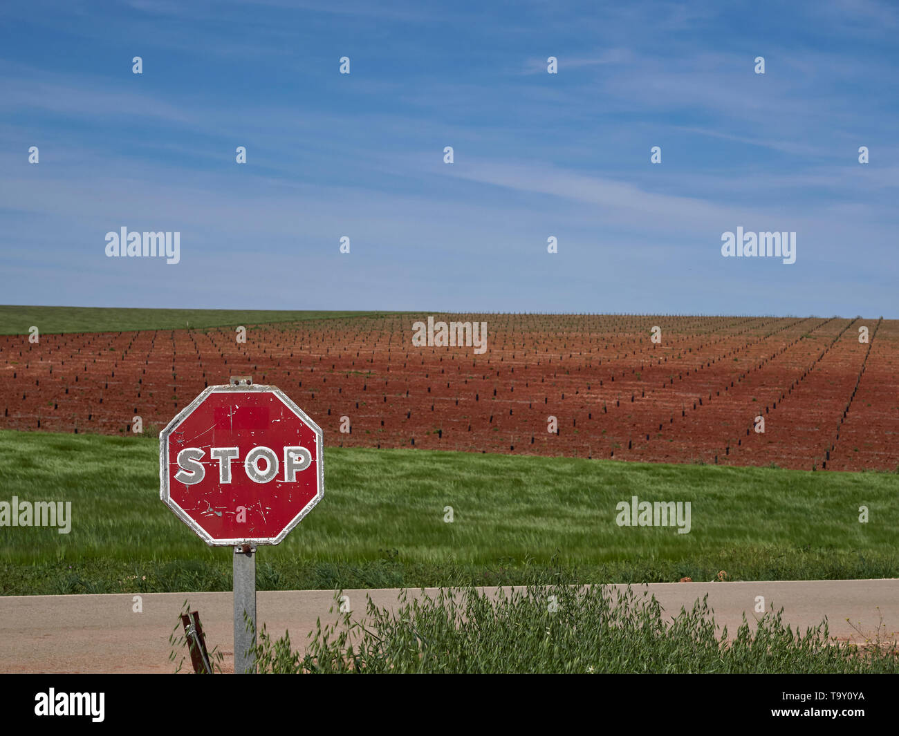 A Red painted Octagonal Spanish Stop sign on a road amongst the Arable ...
