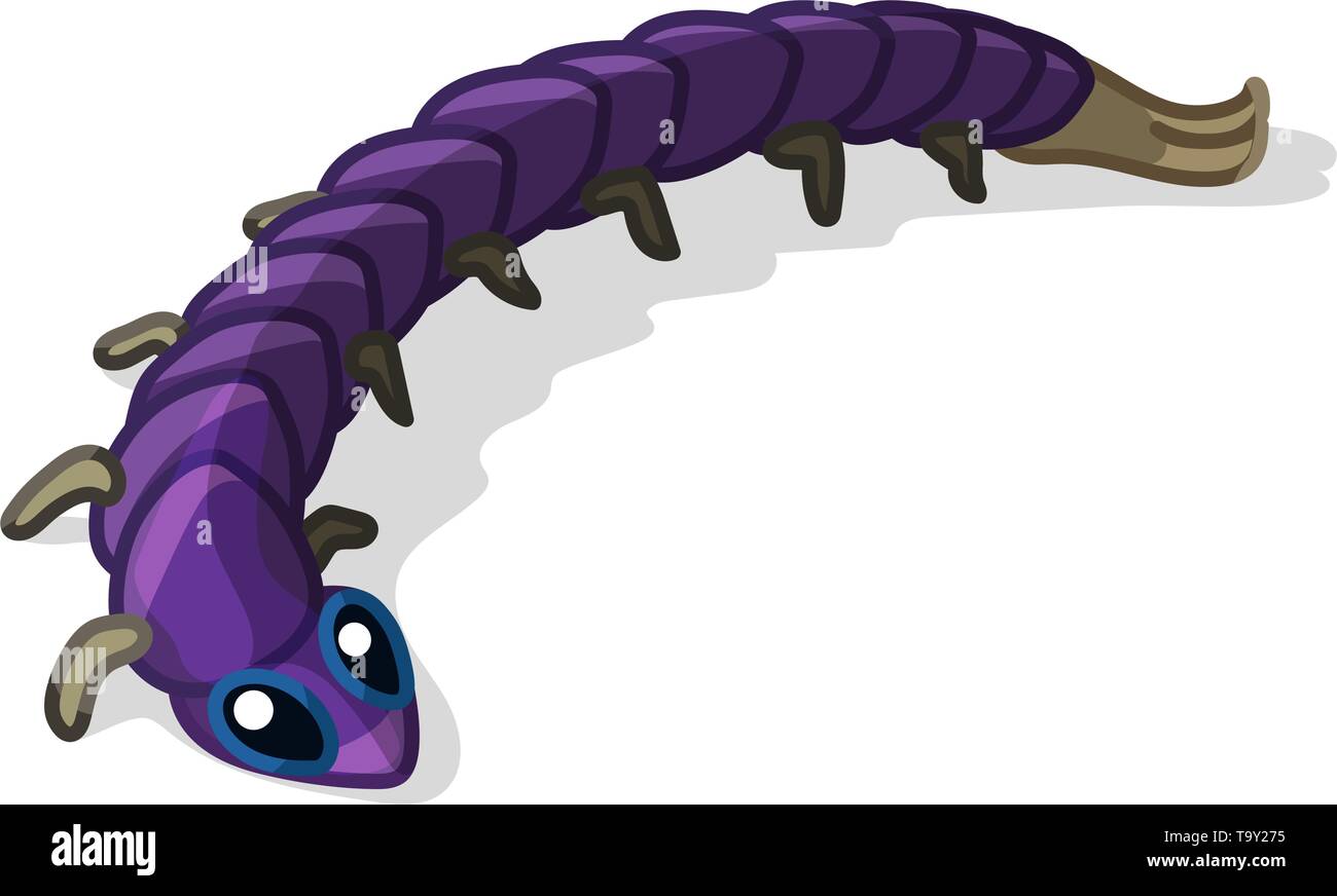 Chilopoda vector vectors hi-res stock photography and images - Alamy