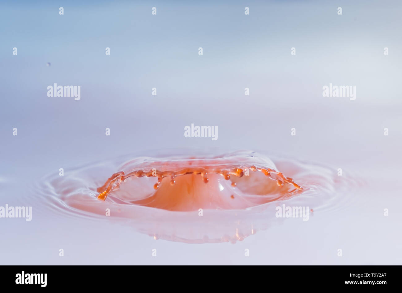 Water Drops with Multi Colors, can be used as Background, advertising ...