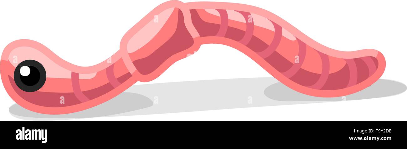 vector cute cartoon insect clip art worm Stock Vector Image & Art - Alamy