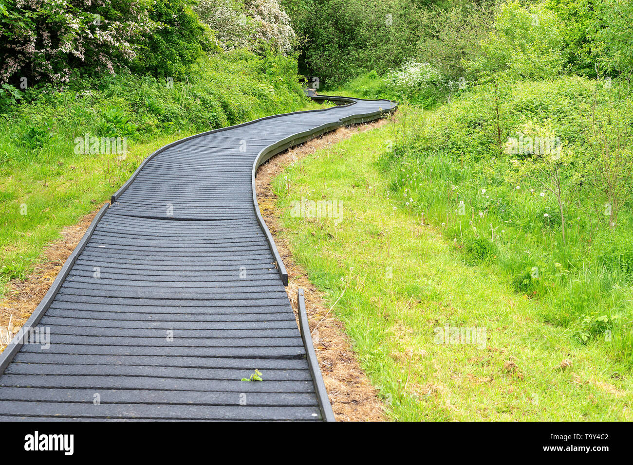 Plastic boardwalk hi-res stock photography and images - Alamy