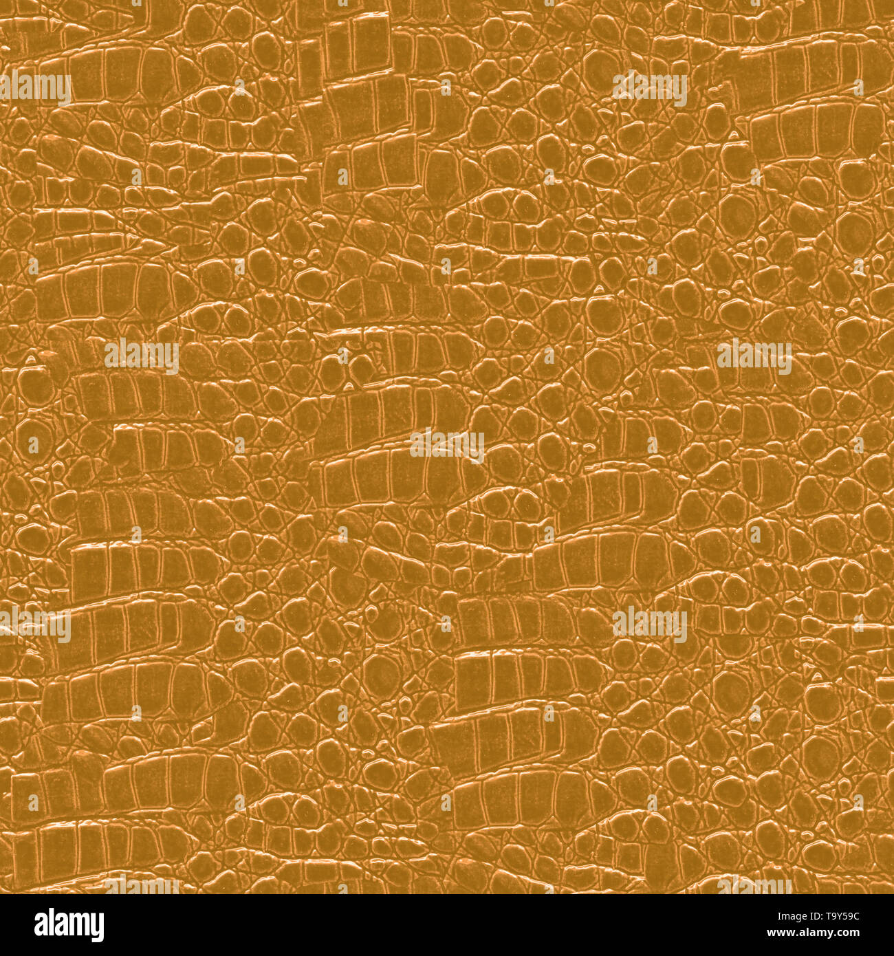 Alligator skin texture seamless hi-res stock photography and images - Alamy